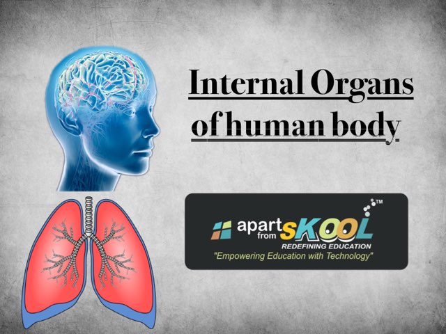 Internal Organs Of Human Body Free Activities online for kids in 6th ...