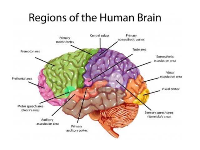 Sample Brain Game Free Activities online for kids in 9th grade by Stacy ...