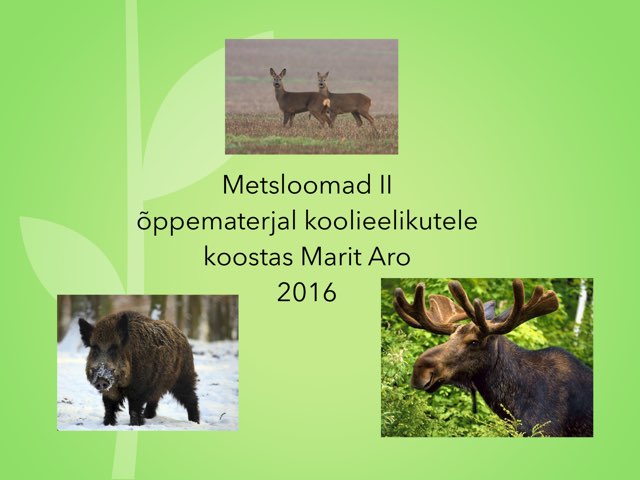 Metsloomad II Free Games online for kids in Pre-K by Marit Aro