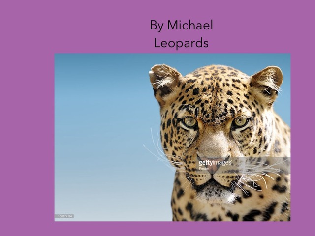 Leopards Free Activities online for kids in 1st grade by Michael