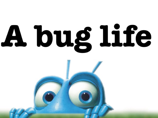 A Bug Life Free Activities online for kids in Kindergarten by Wilma Coradyn