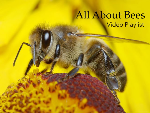 All About Bees Video Playlist Free Activities online for kids in 9th ...