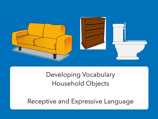 Developing Vocabulary - Household Objects (receptive & expressive ...