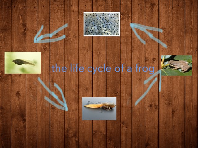 Michael Frog Free Games online for kids in Nursery by Diana Coyne