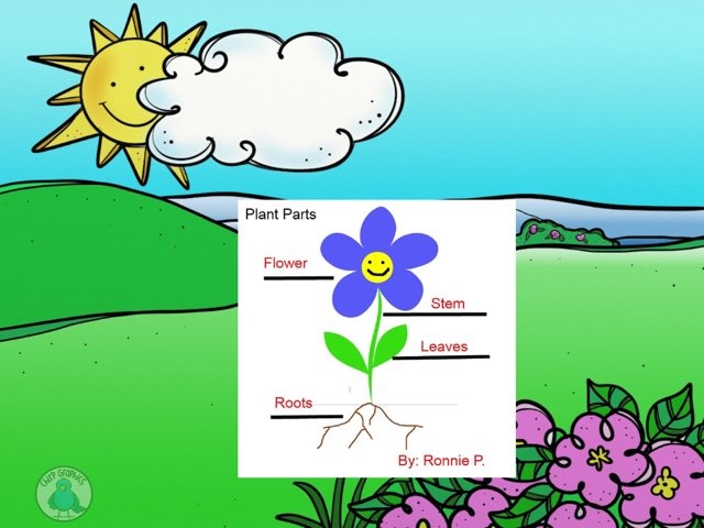 Parts Of A Flower Free Activities online for kids in 2nd grade by Leah ...