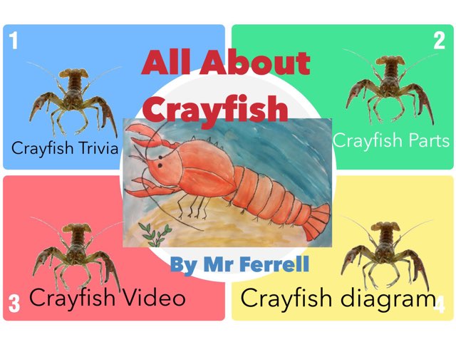 All About Crayfish Free Activities online for kids in 3rd grade by ...