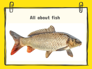 All about fish Free Activities online for kids in Kindergarten by Naz ...