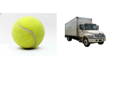 Identify object Free Games online for kids in Nursery by Rose Campbell