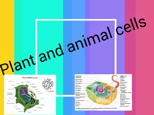 animal and plant cell Free Activities online for kids in 4th grade by ...