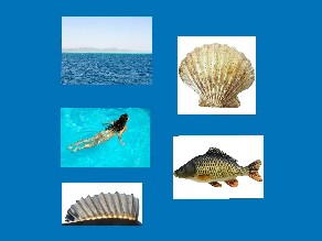 Vis woorden. Gratis online spellen voor kleuters (4-5 jr.) door Cobi