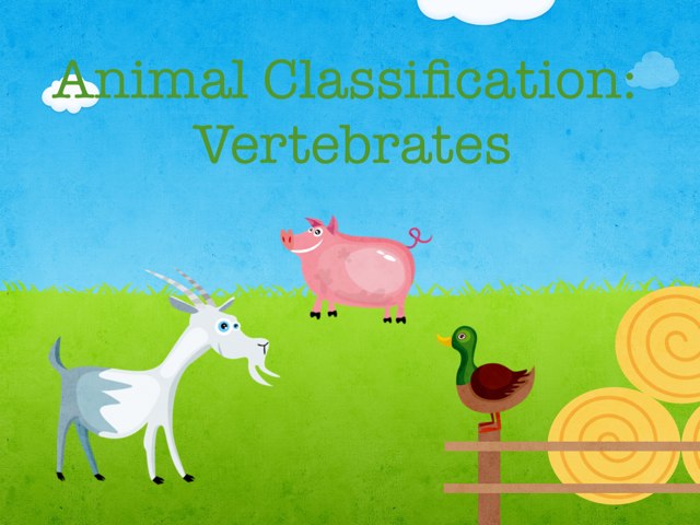 Animal Classification: Vertebrates Free Activities online for kids in ...