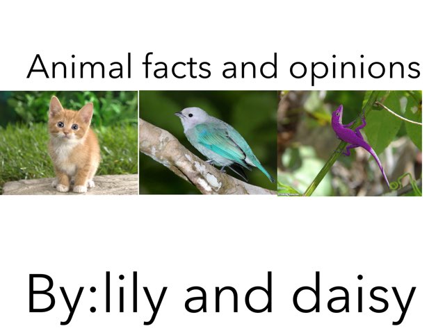 Animal Facts And Opinions Free Activities online for kids in 1st grade ...