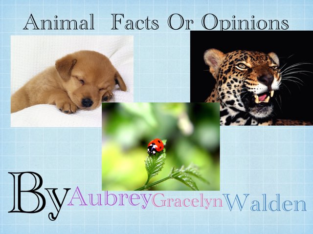 Animal Facts Or Opinions Free Activities online for kids in 1st grade ...