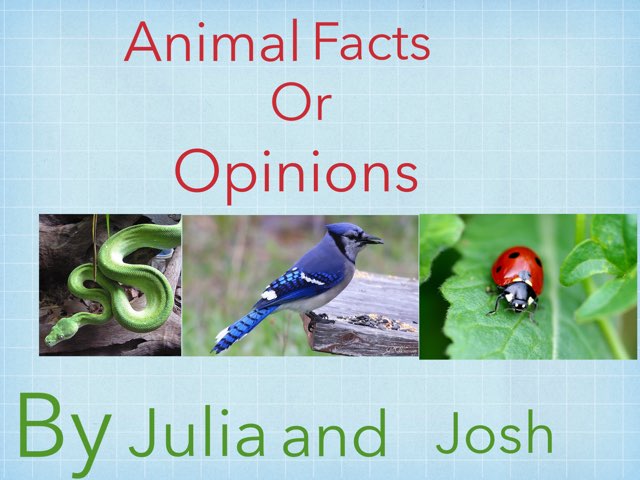 Animal Facts Or Opinions Free Activities online for kids in 1st grade ...