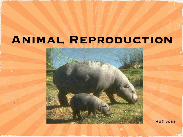 Animal Reproduction Free Activities online for kids in 7th grade by hx1 ...