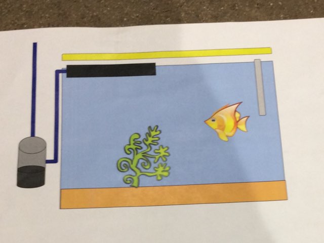 Aquarium Som Free Activities online for kids in 1st grade by Kevin Nouvel