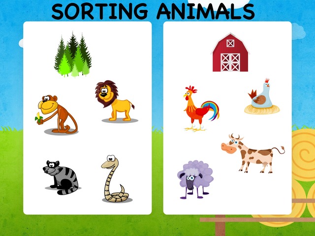 TinyTap | Sorting Animals | Math