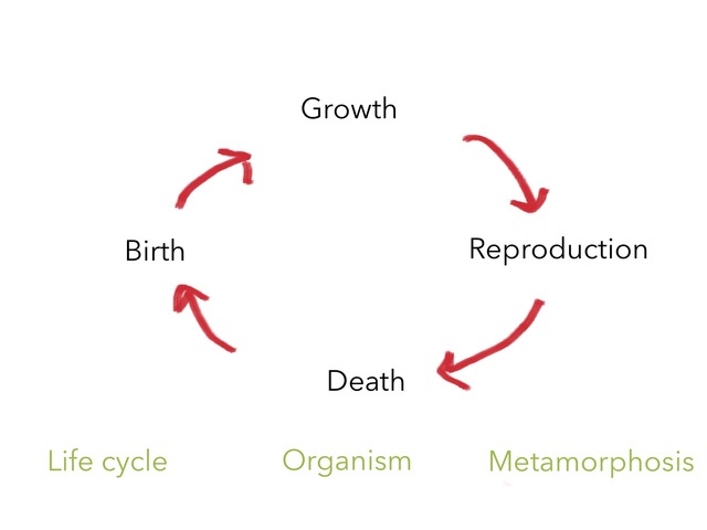 Life Cycles Free Activities online for kids in 3rd grade by Jacqueline ...