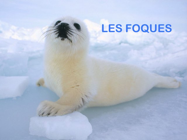 Les Foques Free Games online for kids in Pre-K by Infantil NSC
