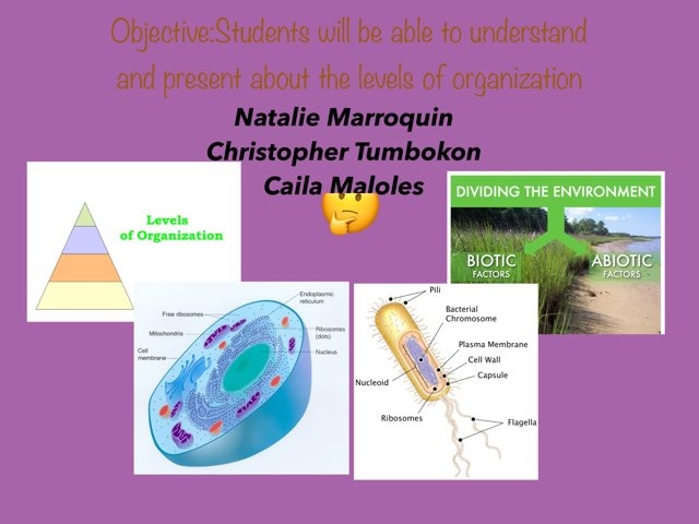 Science Levels Of Organization Free Activities online for kids in 5th ...