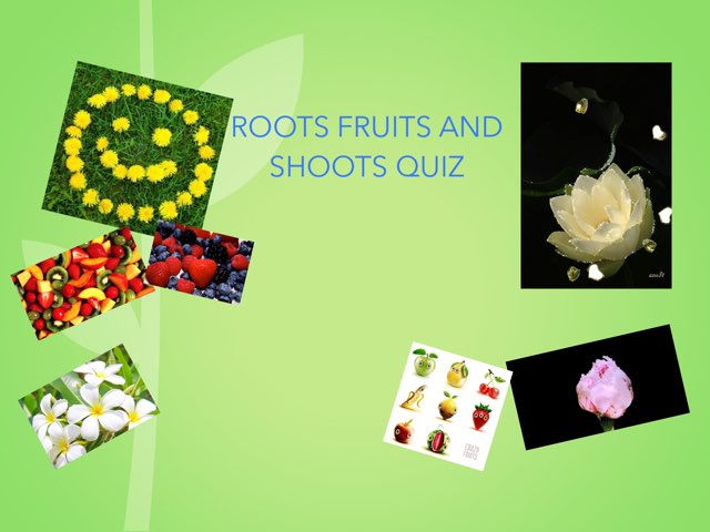 Roots Fruits And Shoots Free Activities online for kids in 3rd grade by ...