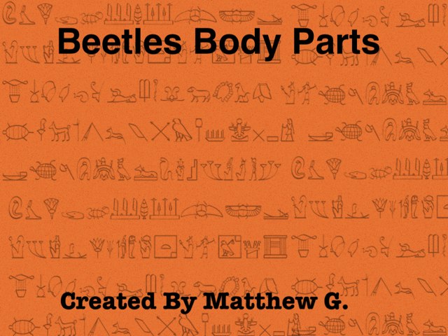 Beetle Project Free Activities online for kids in 4th grade by Hailey Cobb