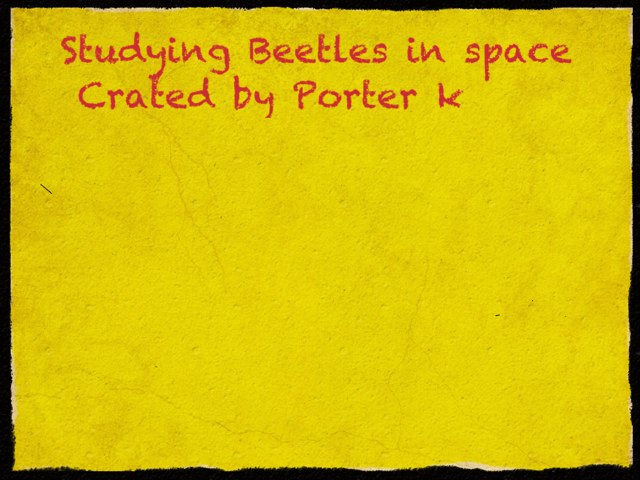 Beetle Project Free Activities online for kids in 4th grade by Hailey Cobb