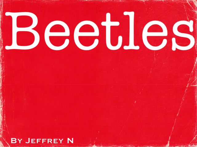 Beetles Project Free Activities online for kids in 4th grade by Hailey Cobb