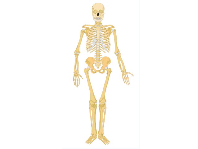 Billy Skeleton Y4a Free Games online for kids in Nursery by Mr Parkinson