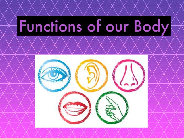 Body Functions Free Games online for kids in Pre-K by Erica Lynn