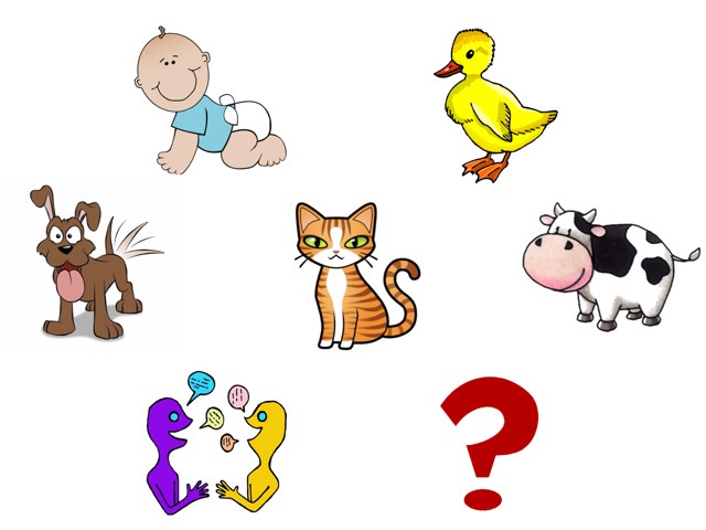 Boohoo Baby Shared Reading | Online Activities | Language Studies ...