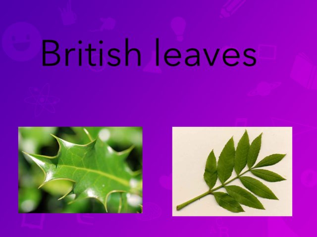 British Leaves Free Activities online for kids in 5th grade by Sandford ...
