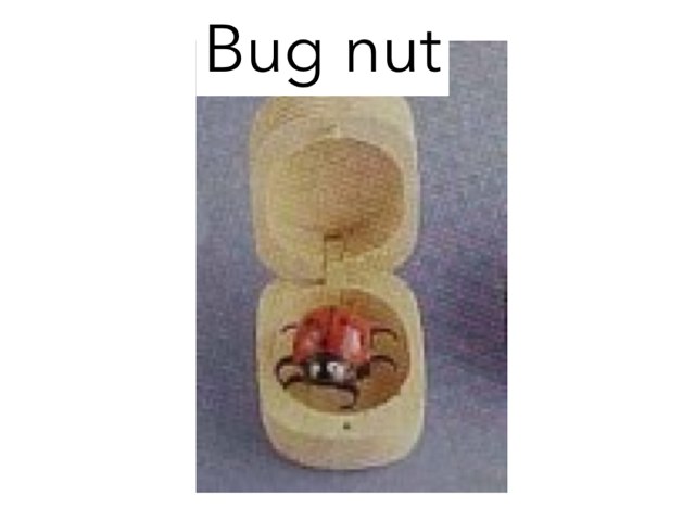 Bug Nut Free Activities online for kids in 7th grade by Kaavya Gupta
