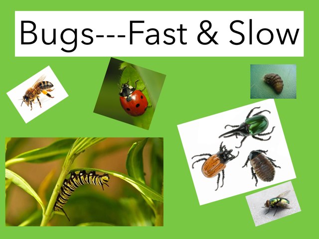 Bugs Moving Free Games online for kids in Nursery by Kristin Meadows
