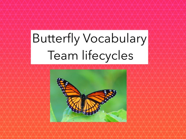 Butterfly Vocabulary Free Games online for kids in Nursery by Melissa ...