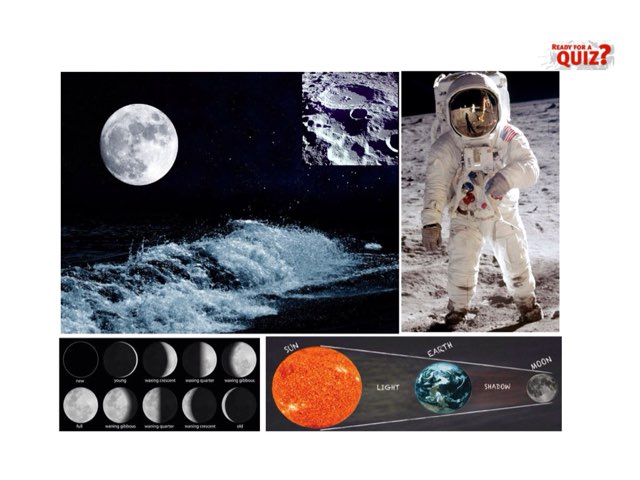 The Moon Free Activities online for kids in 2nd grade by Claudia Plaza