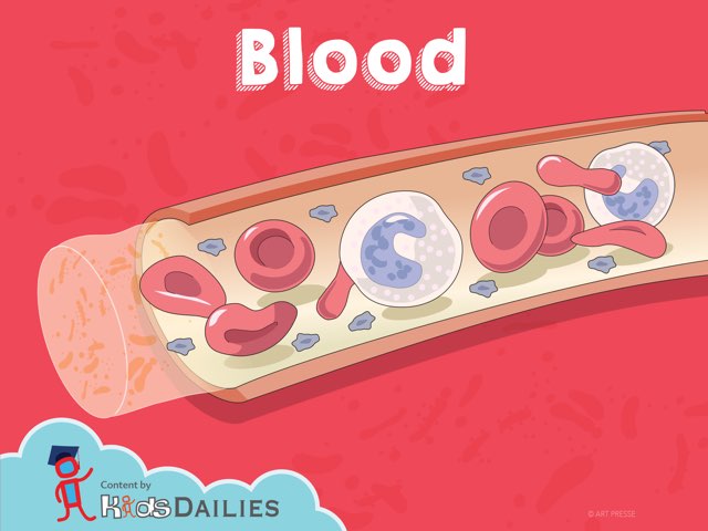 Blood Free Activities online for kids in 5th grade by Kids Dailies