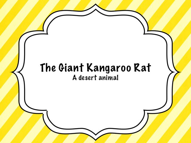Kangaroo Rat Free Activities online for kids in 4th grade by Amy Clay