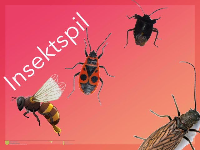 #Insektspil Free Activities online for kids in 3rd grade by Viola ...
