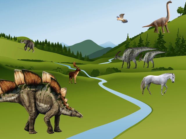 Identify The Animal Free Activities online for kids in Kindergarten by ...