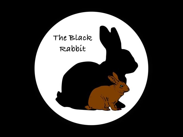 Little Black Rabbit Book
