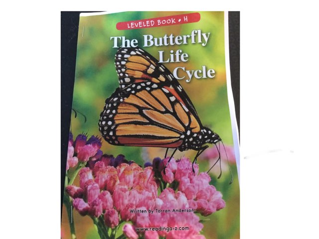 Butterfly Life Cycle Free Activities online for kids in 3rd grade by ...