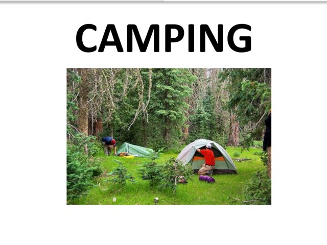 Camping Story Free Games online for kids in Pre-K by Erin Previte