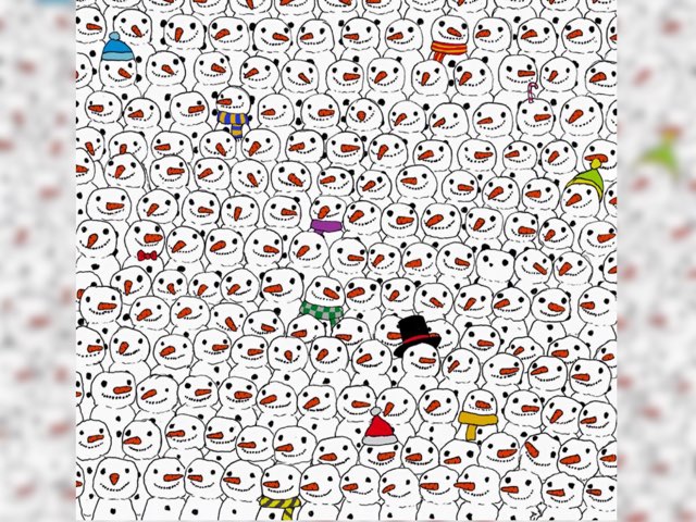 Can You Spot The Panda? Free Activities online for kids in 3rd grade by ...