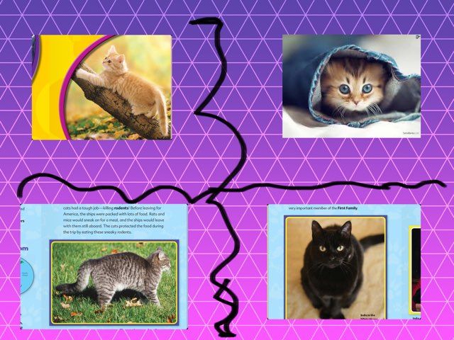 Cat Fun Free Games online for kids in Nursery by Layla