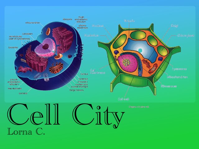 Animal Cell City