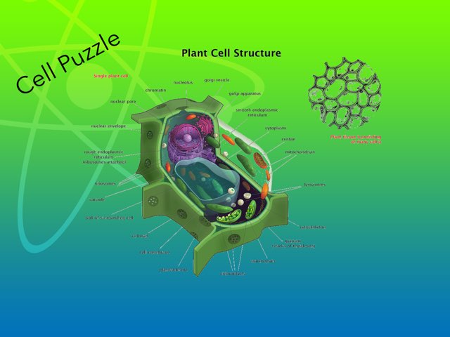 Cell Game Free Games online for kids in Nursery by K1 COFE