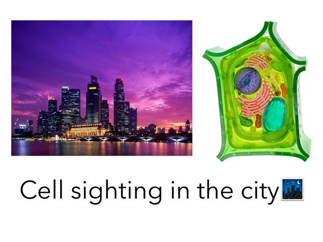 Cell Sighting In The City - Sarah Booher Free Games online for kids in ...