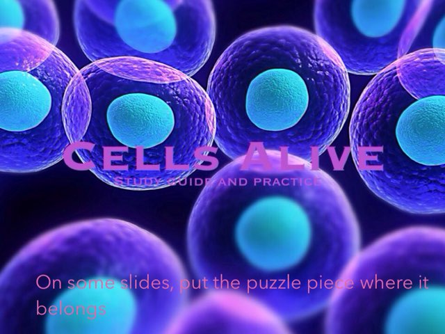 Cells Alive Free Activities online for kids in 9th grade by Maddie Fruit