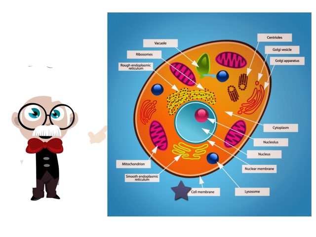 Cells By K Free Activities online for kids in 5th grade by H1 KCAL